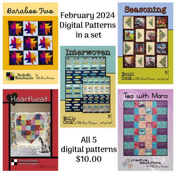 February 2024 PDF Quilt Pattern Collection of 5 digital patterns by Vi ...